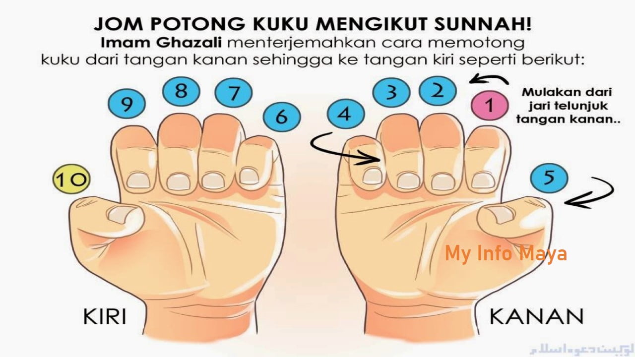 Inilah Cara Memotong Kuku Oleh Sunnah Rasulullah SAW - My Sumber Maya