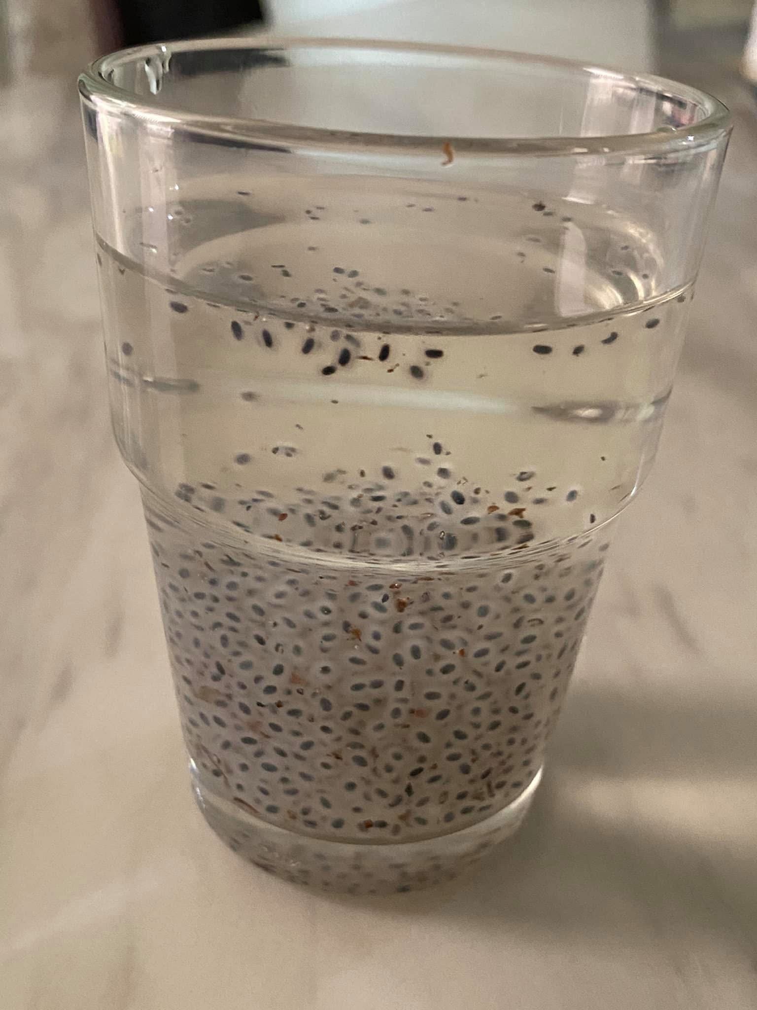 Tip Memproses Bunga Selasih Kering Jadi Biji Minuman - My Sumber Maya