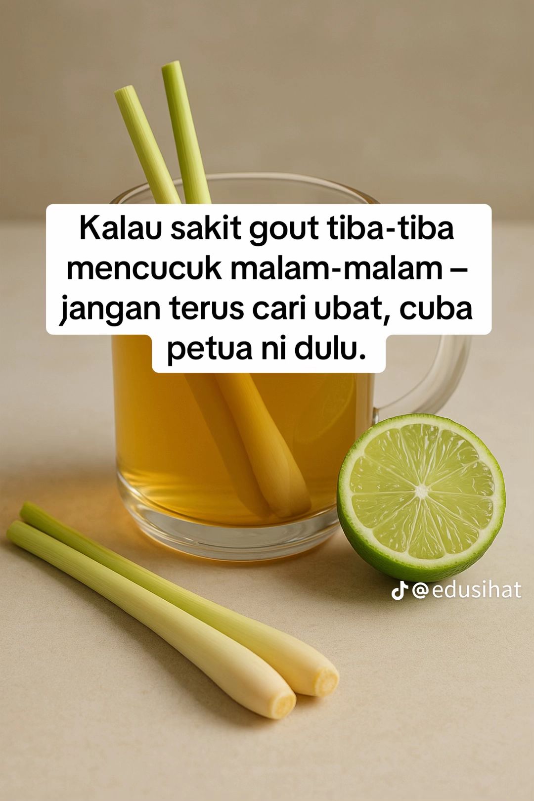 Petua Tradisional Redakan Gout & Sakit Sendi Secara Semula Jadi - My ...