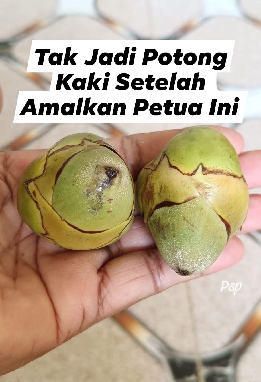 Cara Buat Air Rebusan Tembuluk Kelapa Untuk Diabetes & Kesihatan - My ...
